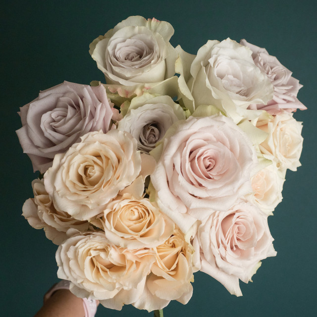 Studio Floral Dora Santoro: Rosa Champanhe