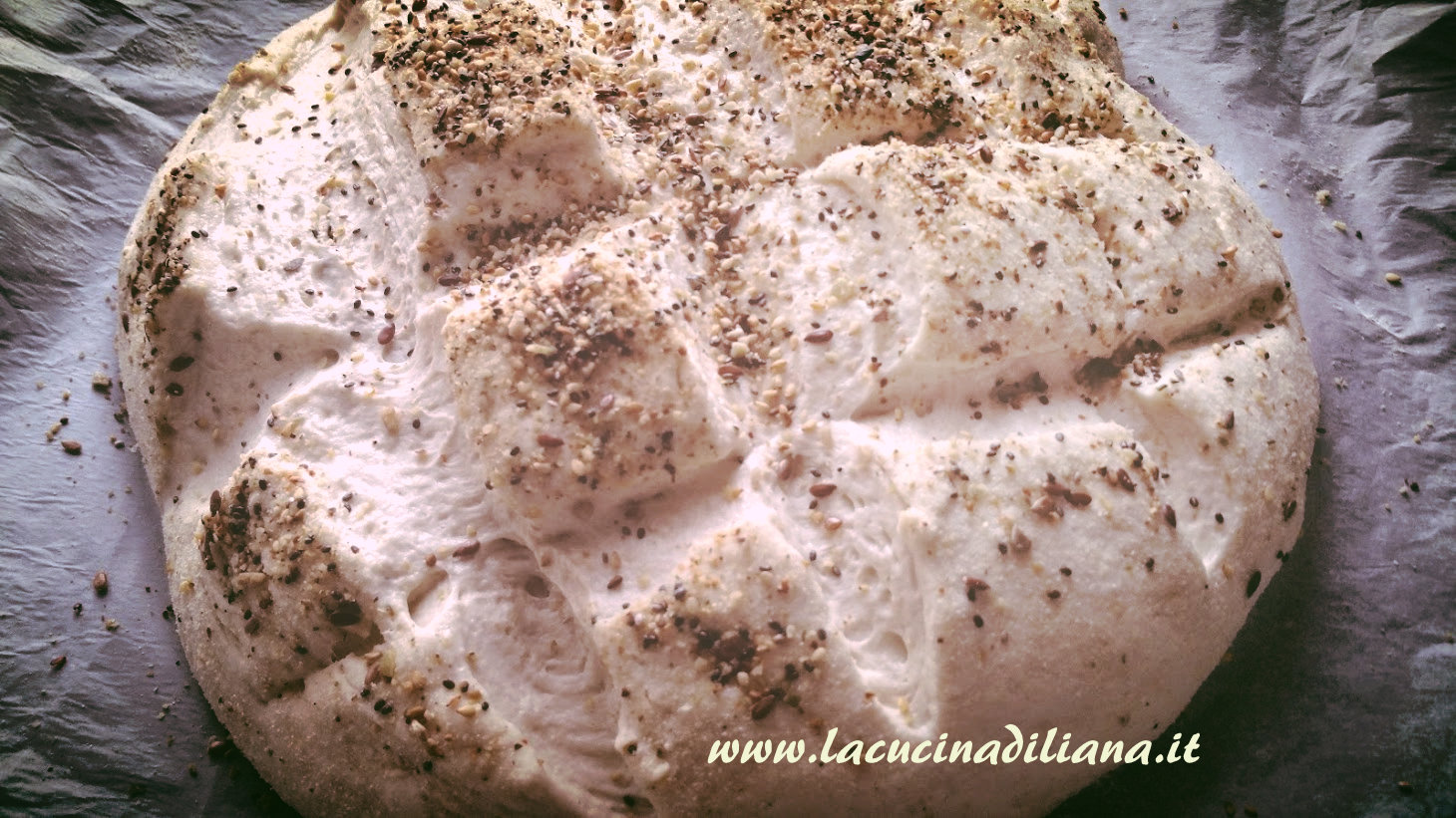 Pane di Bonci con Licoli ~ La Cucina di Liana