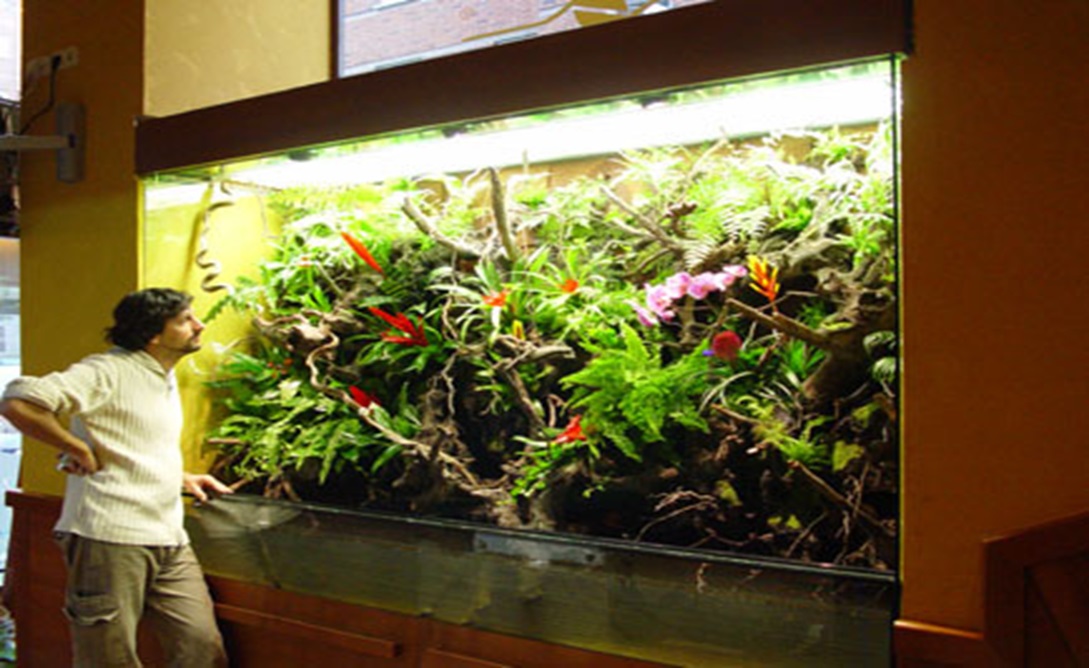 PIBID da Biologia Londrina: PALUDÁRIO E AQUATERRÁRIO!