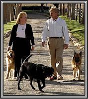 Gabe Saglie's Blog: Island in a Bottle: Distinct Wines Born from Rusack ...