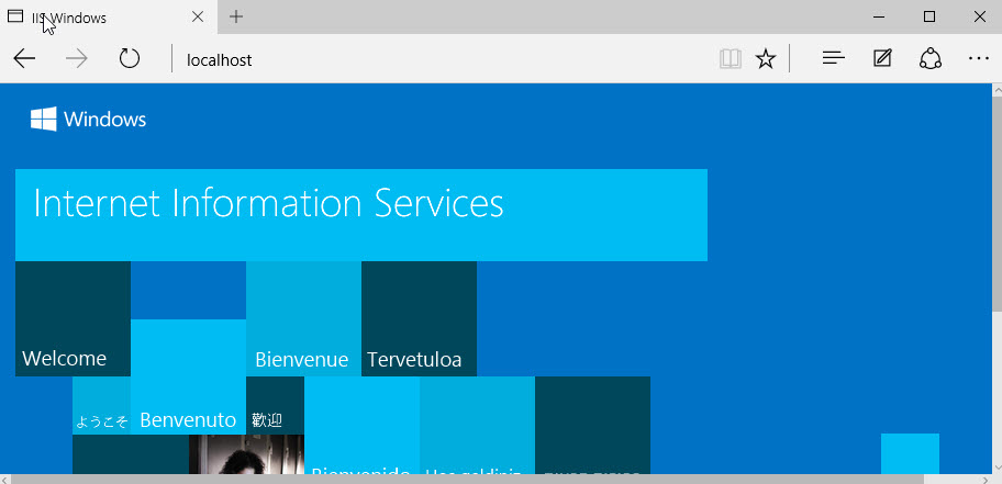 Windows 2016 Iis Version Olemanch