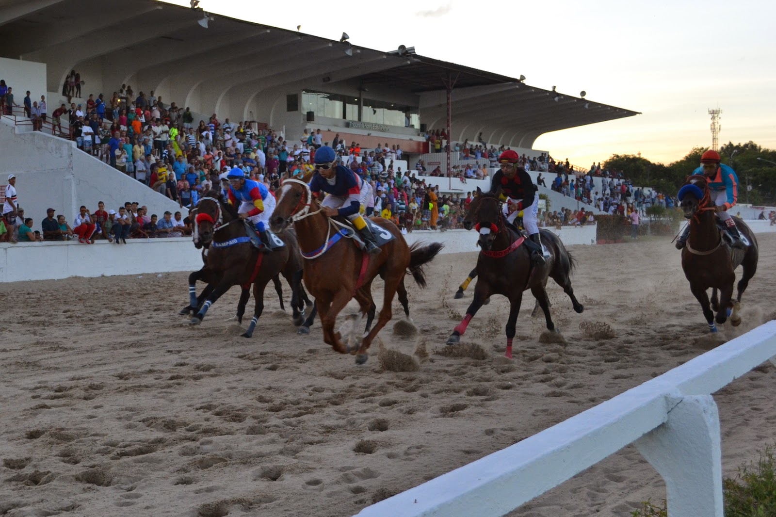 TURFE PERNAMBUCANO: 2019-01-20