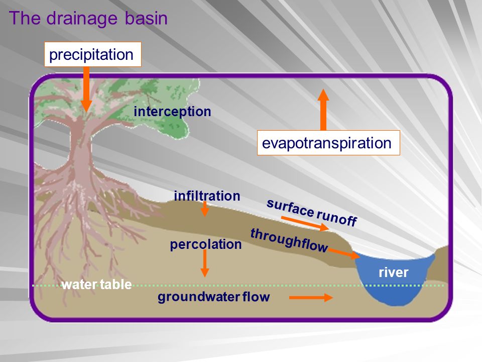 Soil - Water Processes
