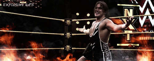 Novembro 2015 ♔ Explosive Wrestling Gifs