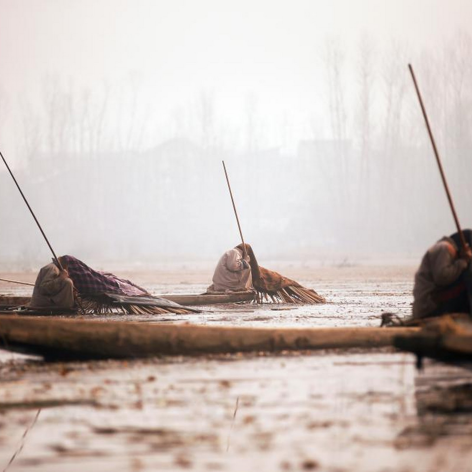 The Anchar Lake on a cold day in Srinagar - Travel Kashmir
