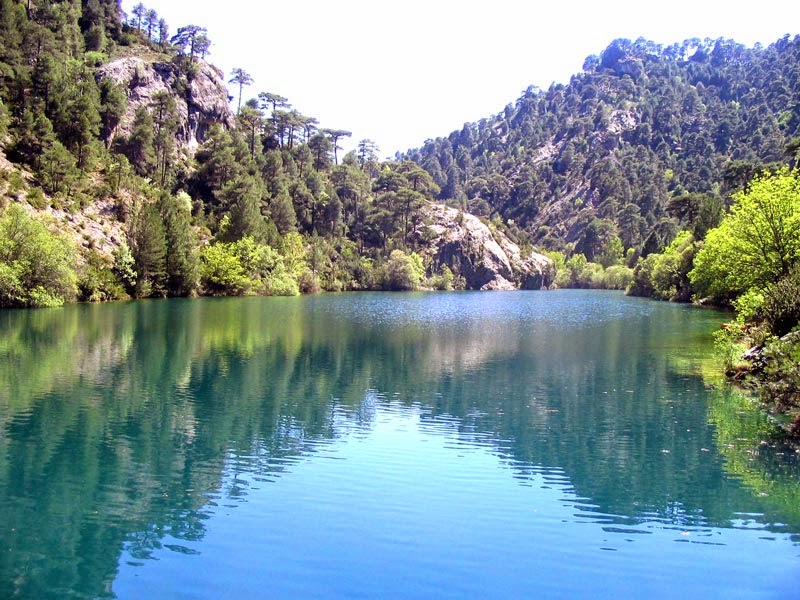 Nos vamos a... El Parque Natural de las Sierras de Cazorla, Segura y ...