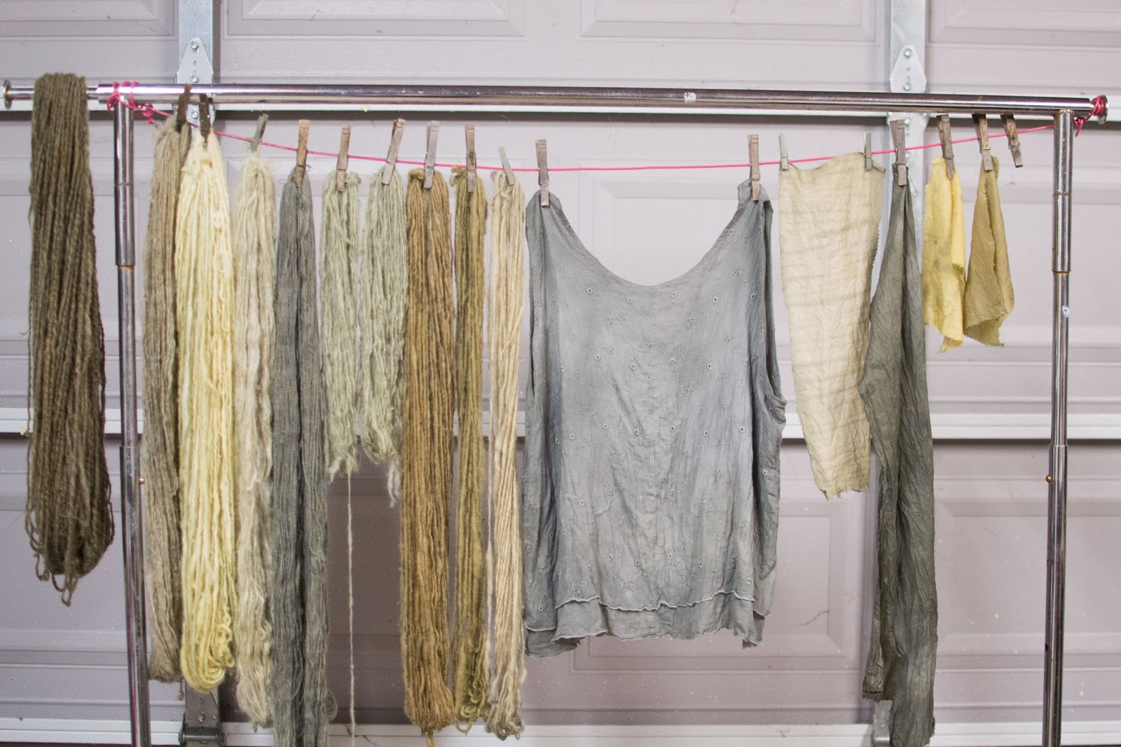 Snail Crafts: Fennel and Rosemary Dye Fun