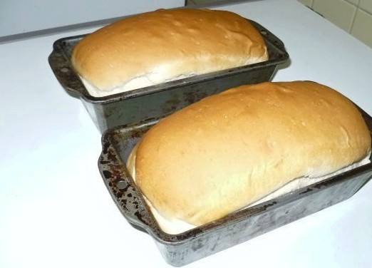 mis recetas comida hecha en casa: Pan de agua ( ideal para desayunar)