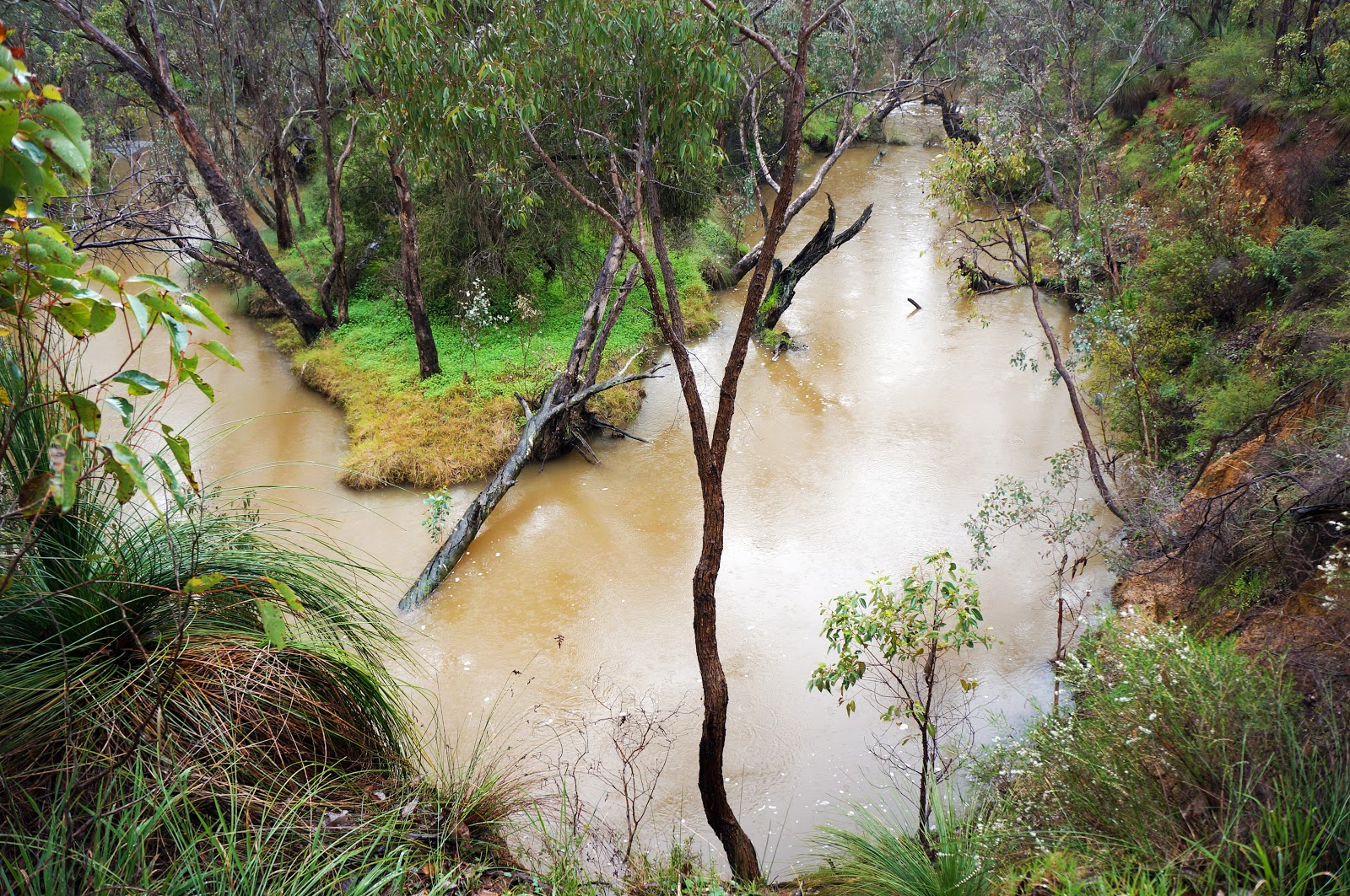Noble Falls Walk Trail (Gidgegannup) ~ The Long Way's Better