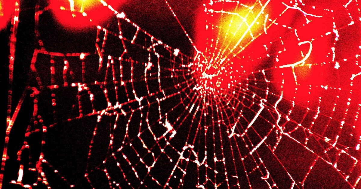 25 Best Web Design Software For Designer | FromDev