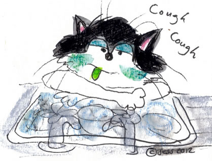 Idgie the Cat: Sniffles n' Snuffles