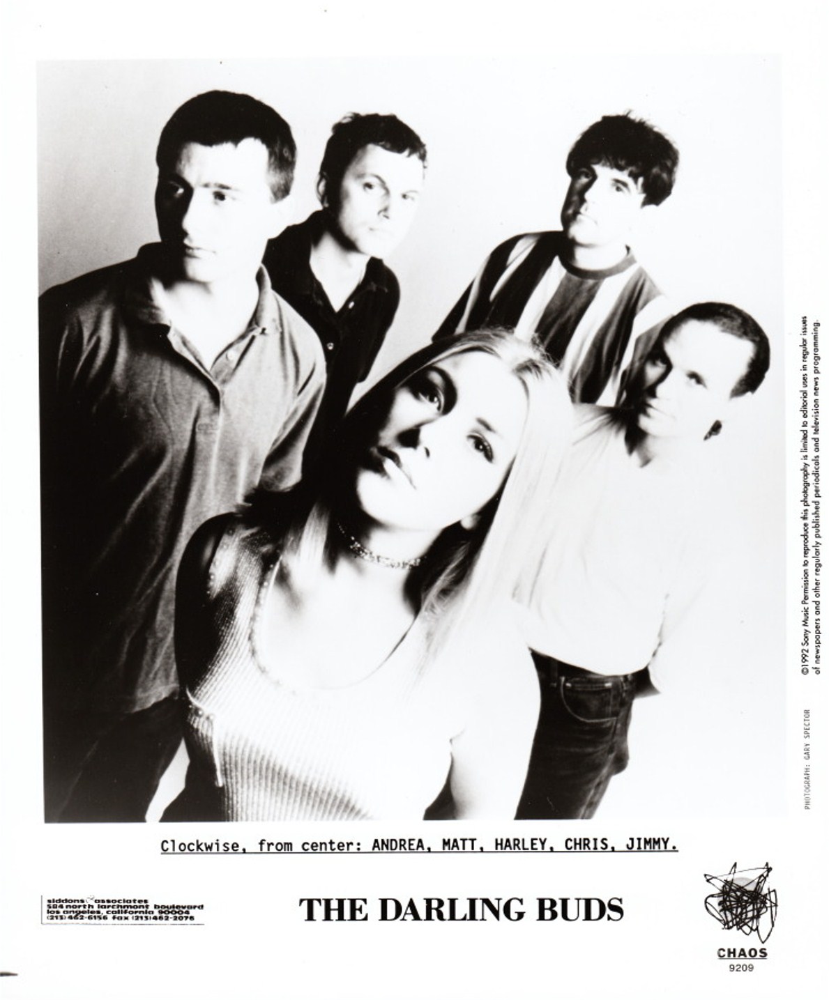 Lansure's Music Paraphernalia: THE DARLING BUDS