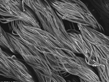 *UPDATE* No More Gore-tex!!