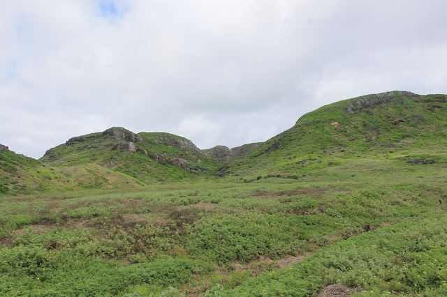 Biodiversidad de "El Bajío Profundo": ISLA CLARIÓN, ARCHIPIELAGO DE ...