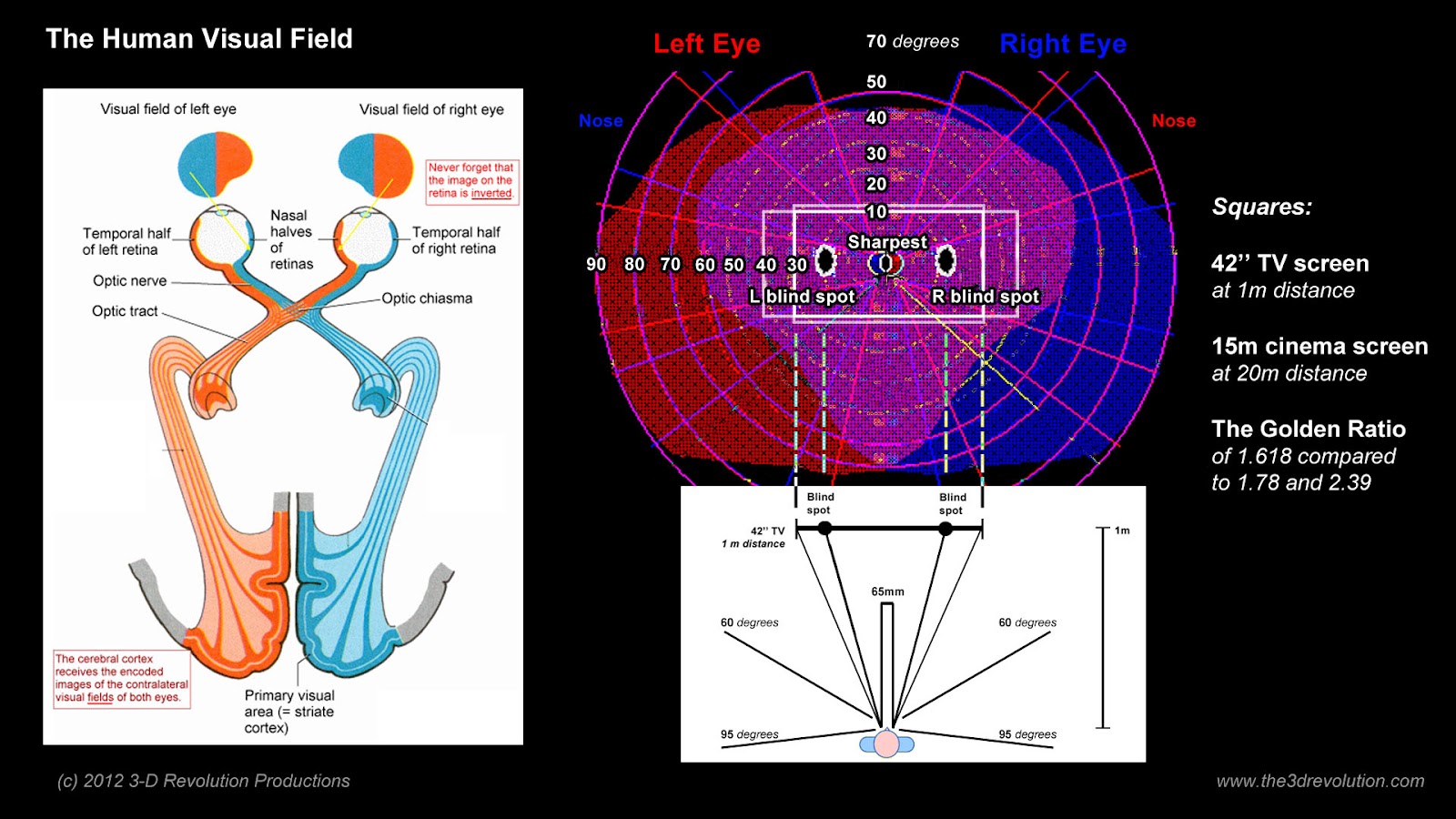 3-D Stereoscopic, 4K and HFR Film and Animation Blog: 5-Dimensional ...