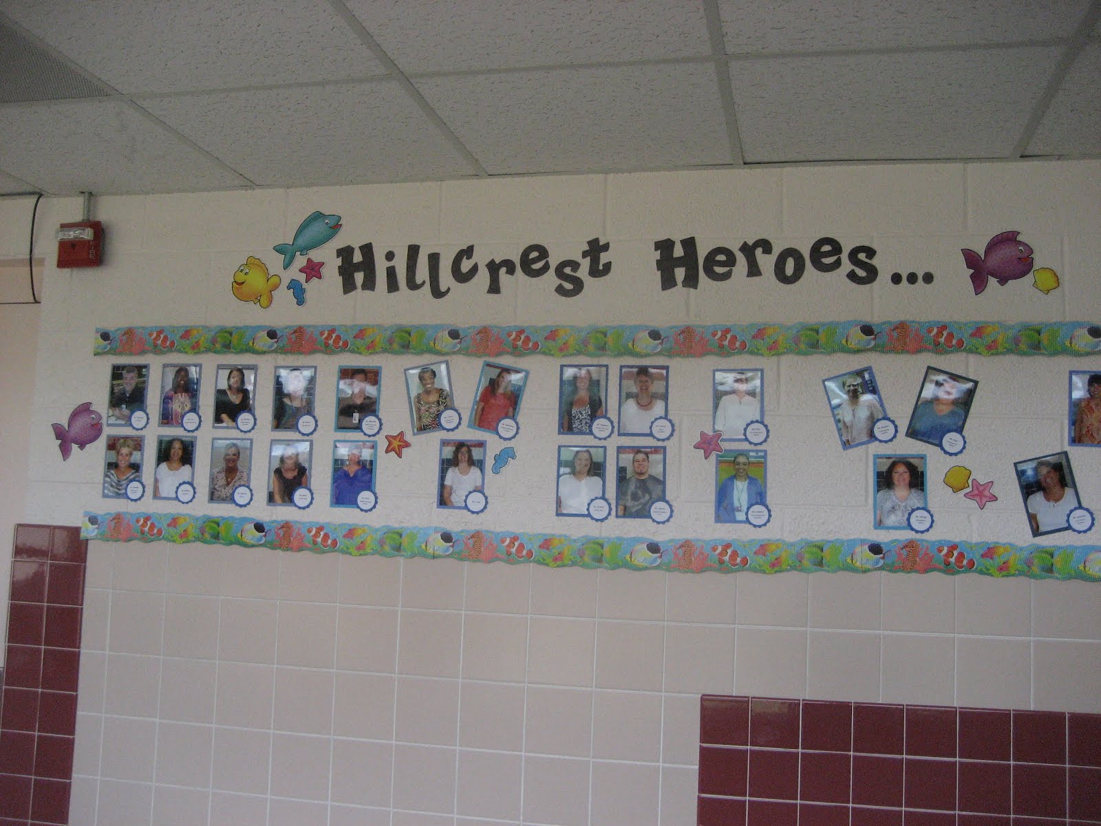 Tearless Teaching: PTA Displays