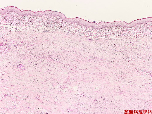 YOUR SKIN: Treat it well!