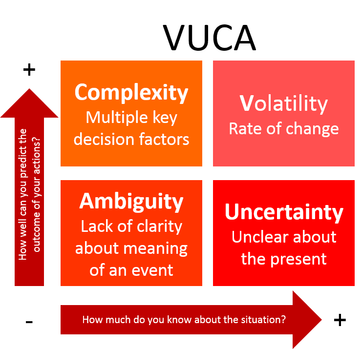 Dumcho's NOTEBOOK: The VUCA Age