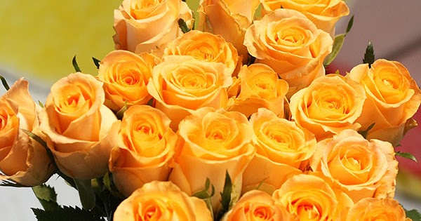 Bunga Import yang Populer Di Masyarakat ~ ANEKA RANGKAIAN BUNGA INSPIRATIF