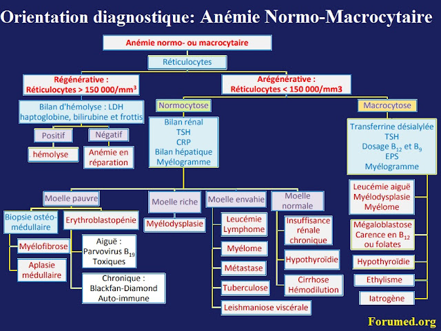 Doc Congrès Événements de Santé Médecine Biologie Technologie Medicale ...