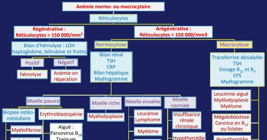 Doc Congrès Événements de Santé Médecine Biologie Technologie Medicale ...