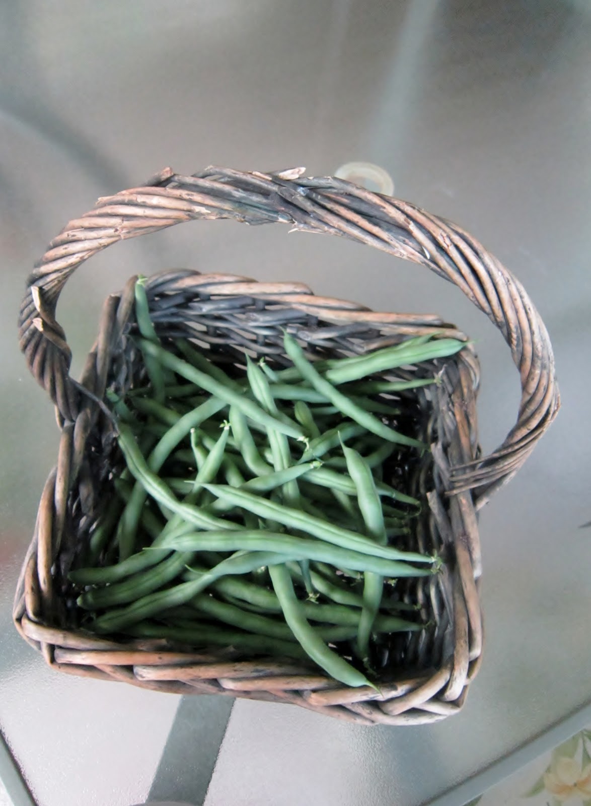Gardening Made Easy