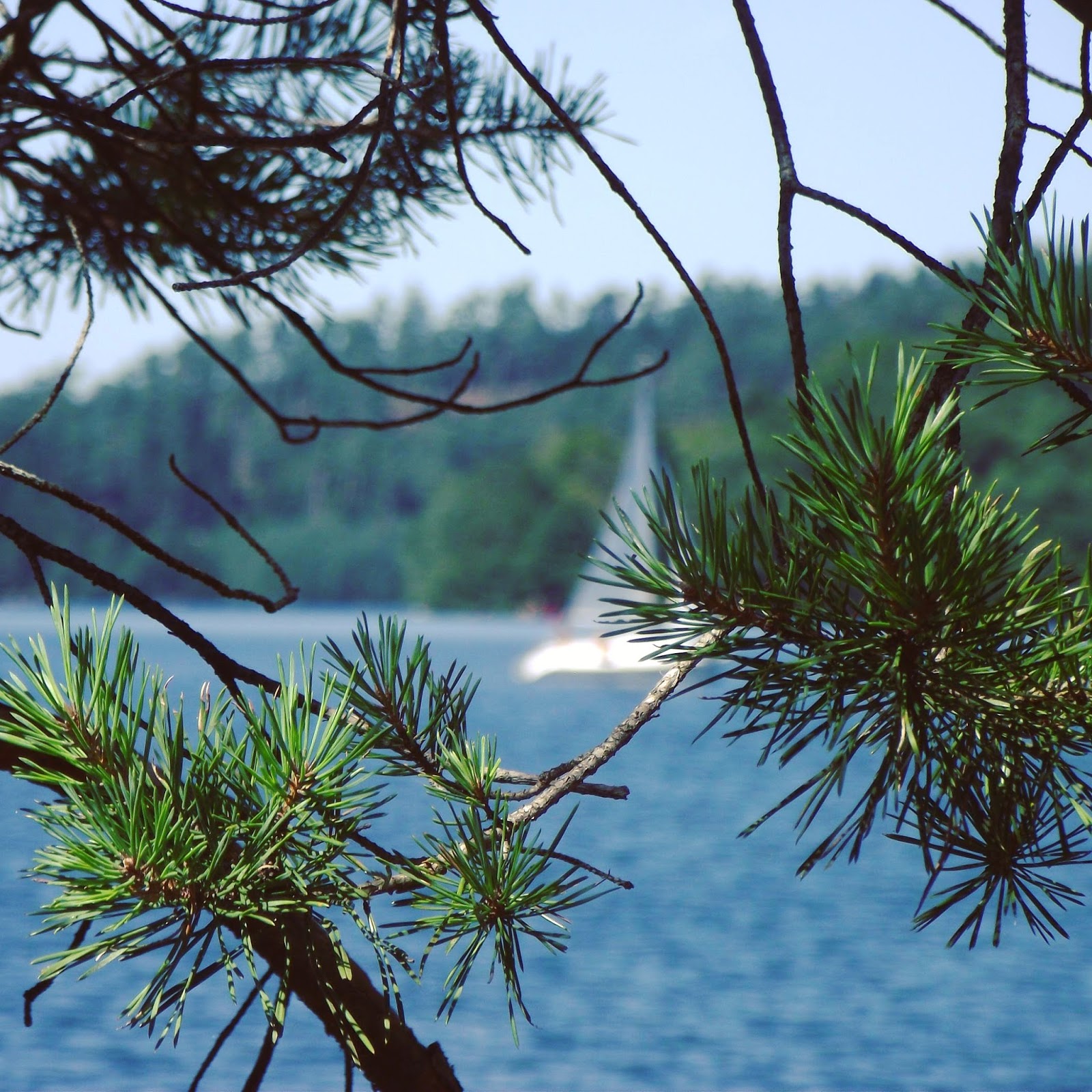 Nalou's in the air: Lac de Pierre Percée, évasion au coeur des Vosges
