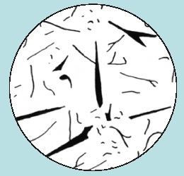 malayasteel: GRAPHITE STRUCTURES IN CAST IRONS : GRAPHITE DISTRIBUTION ...