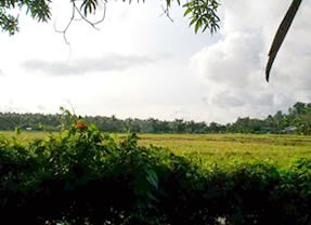 Top 10 Smallest Protected Landscapes in the Philippines