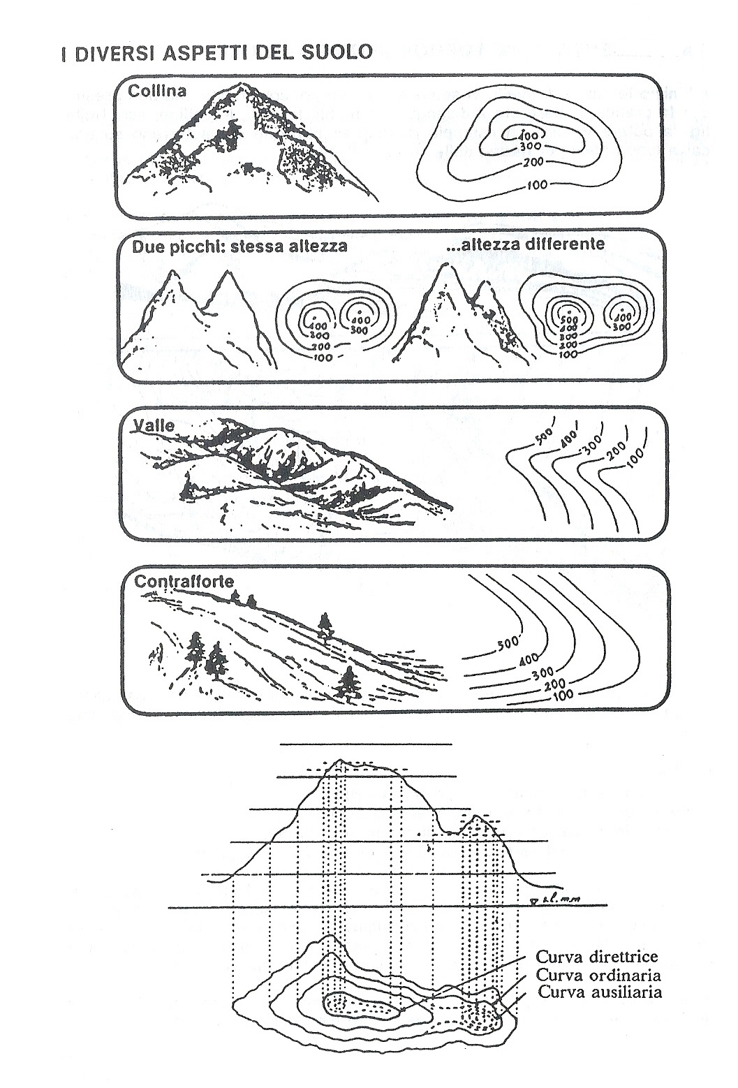 MAGISTER PAULUS: Le Curve di Livello