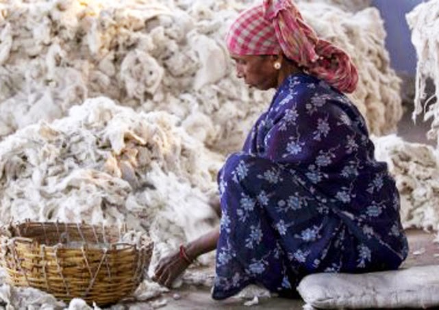 Barbara Brackman's MATERIAL CULTURE: Empire of Cotton: A Global History