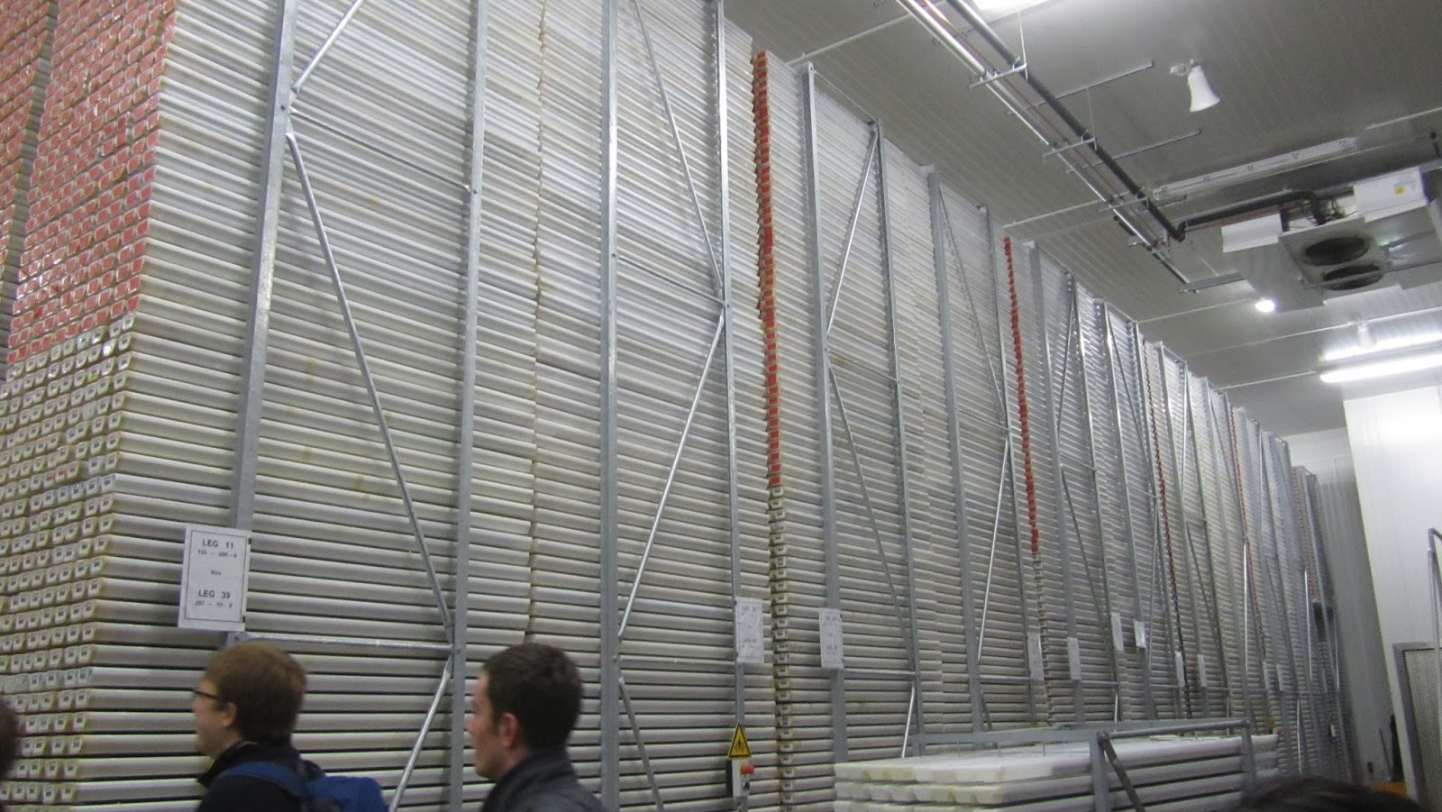 The Life and Times of a (Trainee) Geologist: Bremen Core Repository