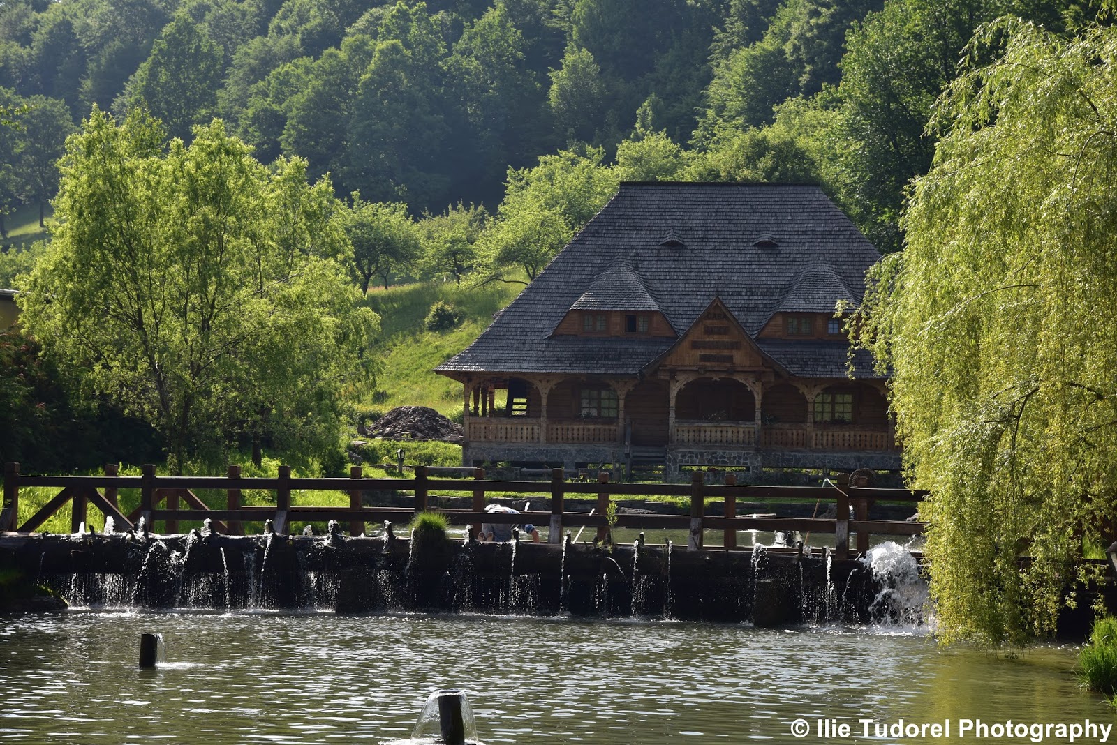 TUDOR PHOTO BLOG: In Muntii Gutai din Maramures,In the Gutai Mountains ...