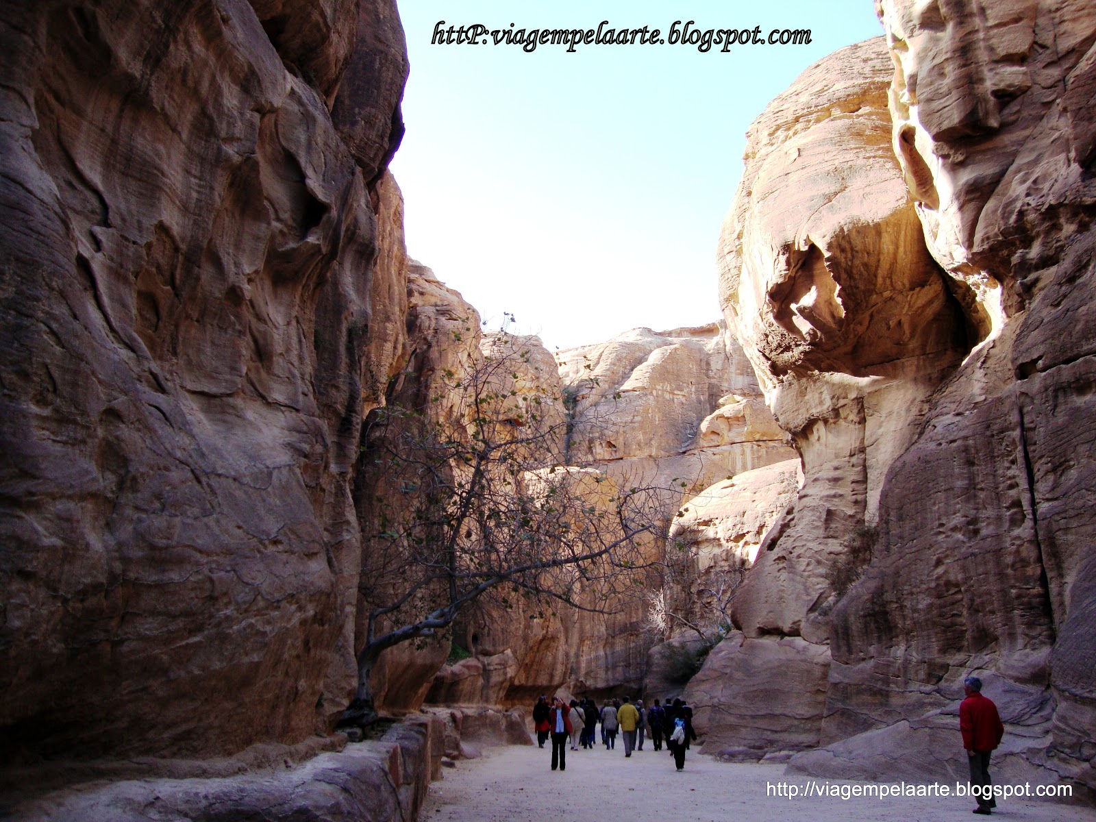 viagem pela arte: Petra - Uma cidade esculpida nas rochas viagem pela arte: Petra - Uma cidade esculpida nas rochas