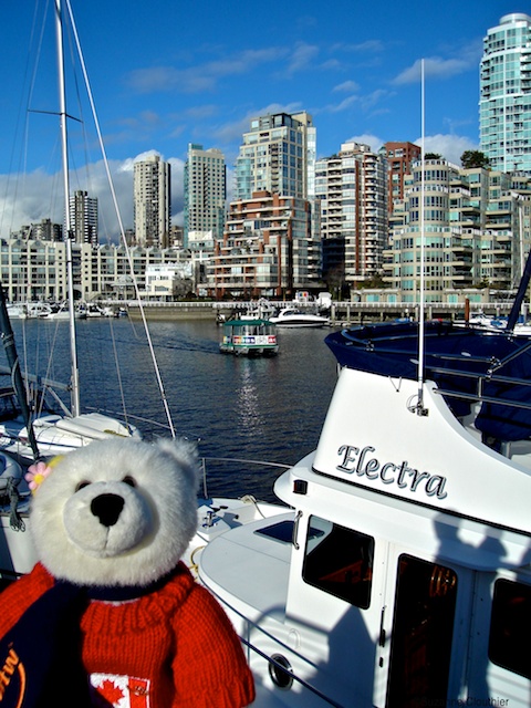 SATW Canada Travelling Teddy Bear Blog: Bella Bella Walks the Seawall ...