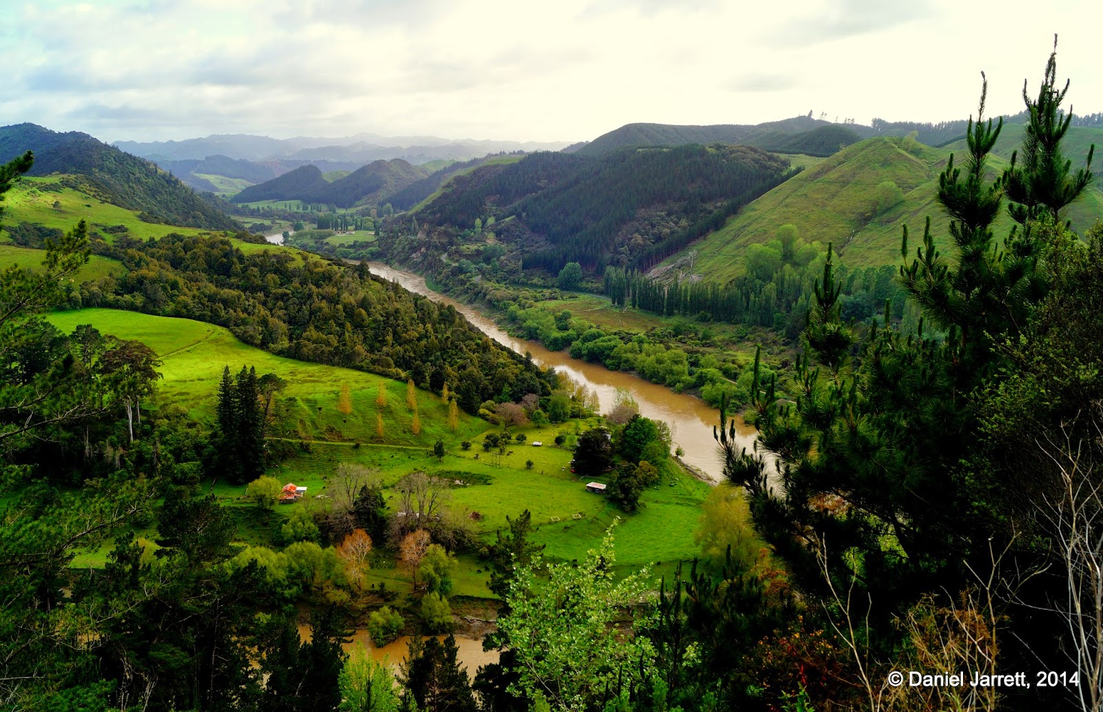 Whanganui River Road | Fiords, Flora, and Fauna