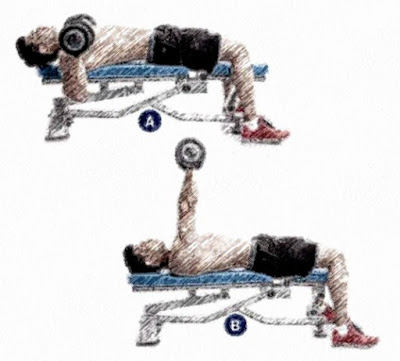 Work Your Upper Body | Health Fitness Exercise