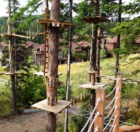 Turning Winds Academic Institute : Aerial Adventure Park