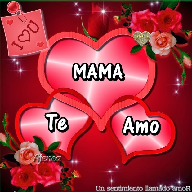 Un sentimiento llamado amoR : TE AMO MAMA!!!!