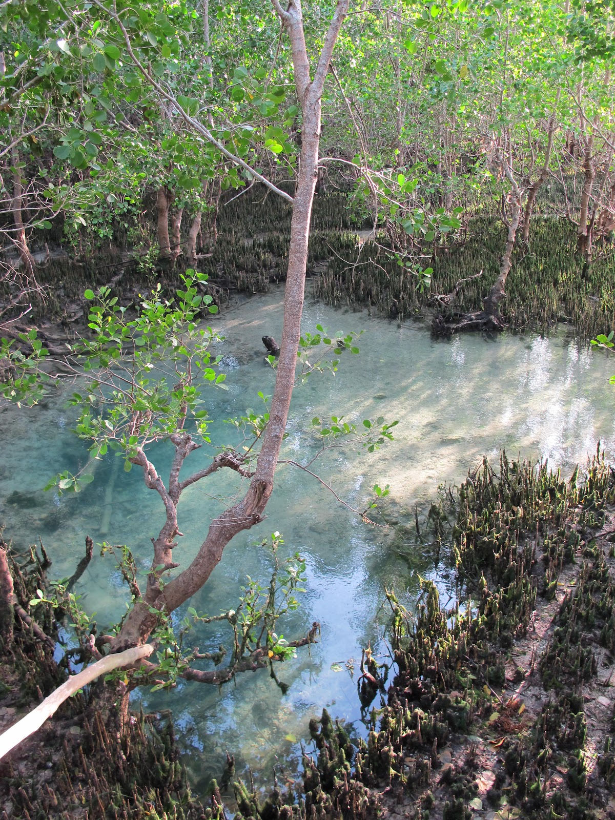 stressed in the city: Guiwanon Spring Park Resort