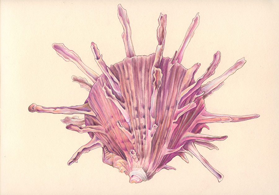 Where ART Lives Gallery Artists Group Blog: Fine Art Pastel Painting ...