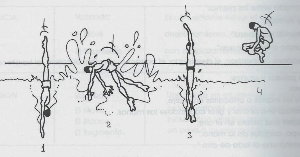 La Enseñanza de la Natación: ETAPA 2: SALTOS