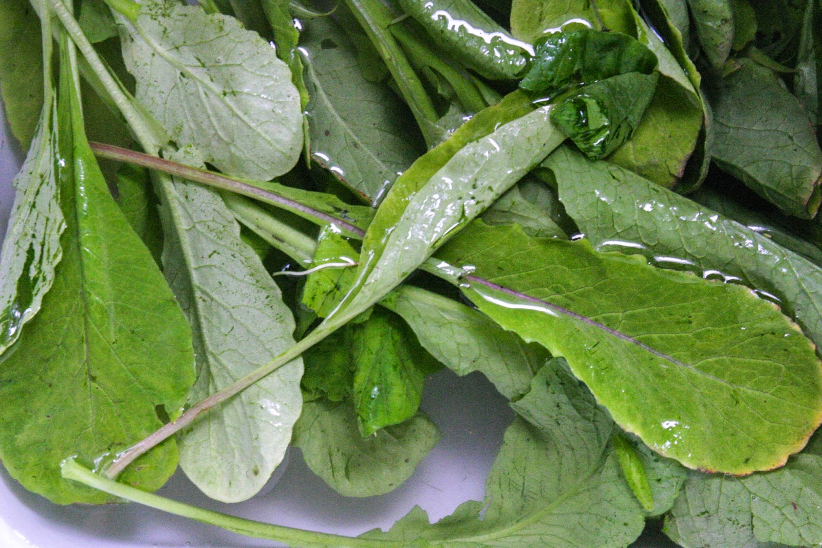Warm Honey Citrus Roasted Radish Salad