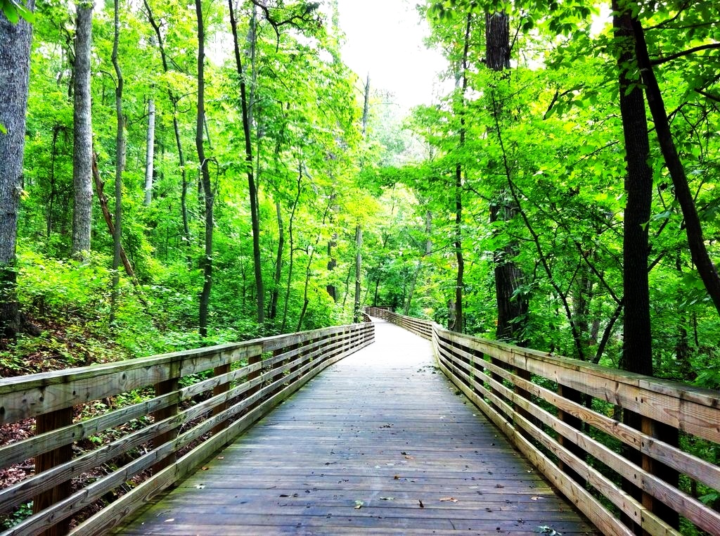 Judith Altman Designs