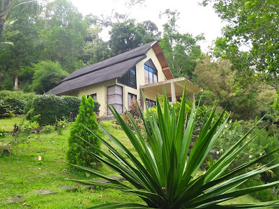Cantiknya danau Linow, danau tiga warna dari Sulawesi Utara | Important ...