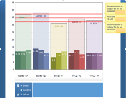 Mariyam irasha - pgce: Interpretation of Teaching Perspective Inventory ...