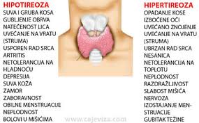 Prirodno je najbolje: Lijecenje Stitne Zlijezde sa mladim sisarkama od ...