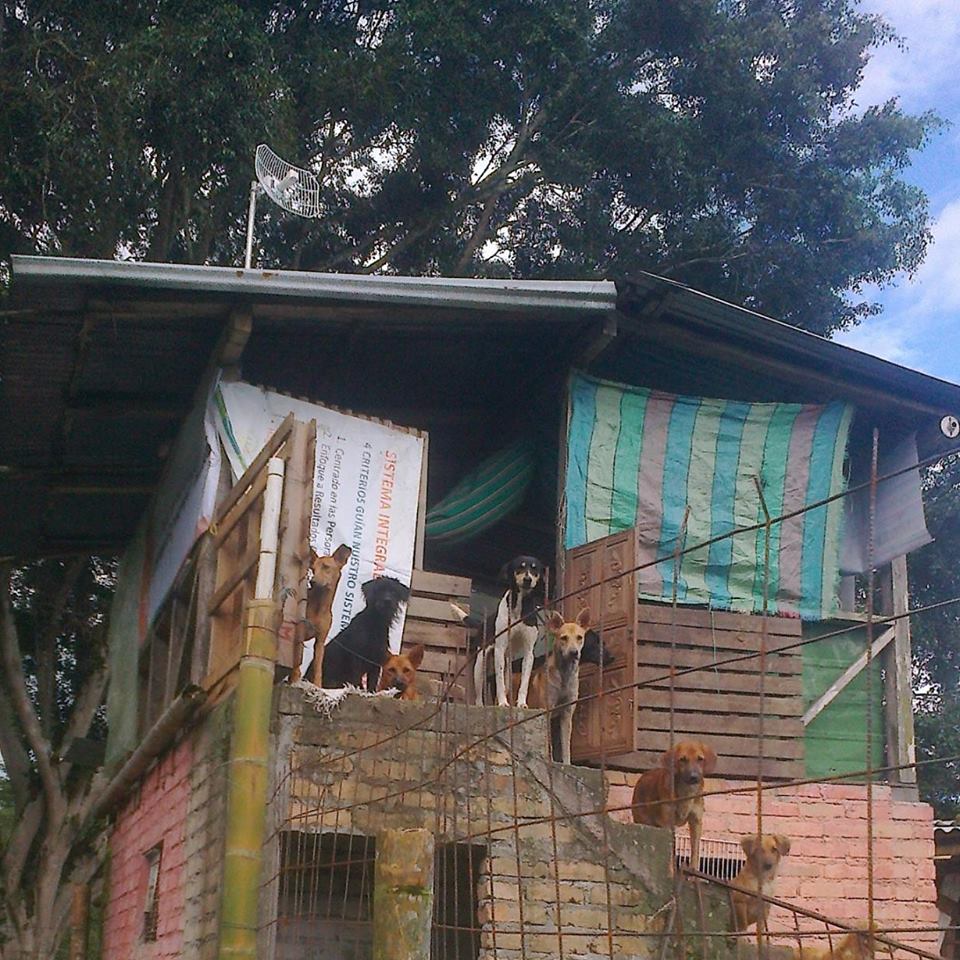 REFUGIO SANTA MARTA (PITALITO-HUILA)