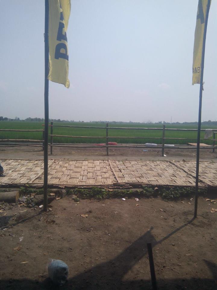 Lomba merpati balap anniversary 2016 Tanggulangin Sidoarjo | Merpati Balap