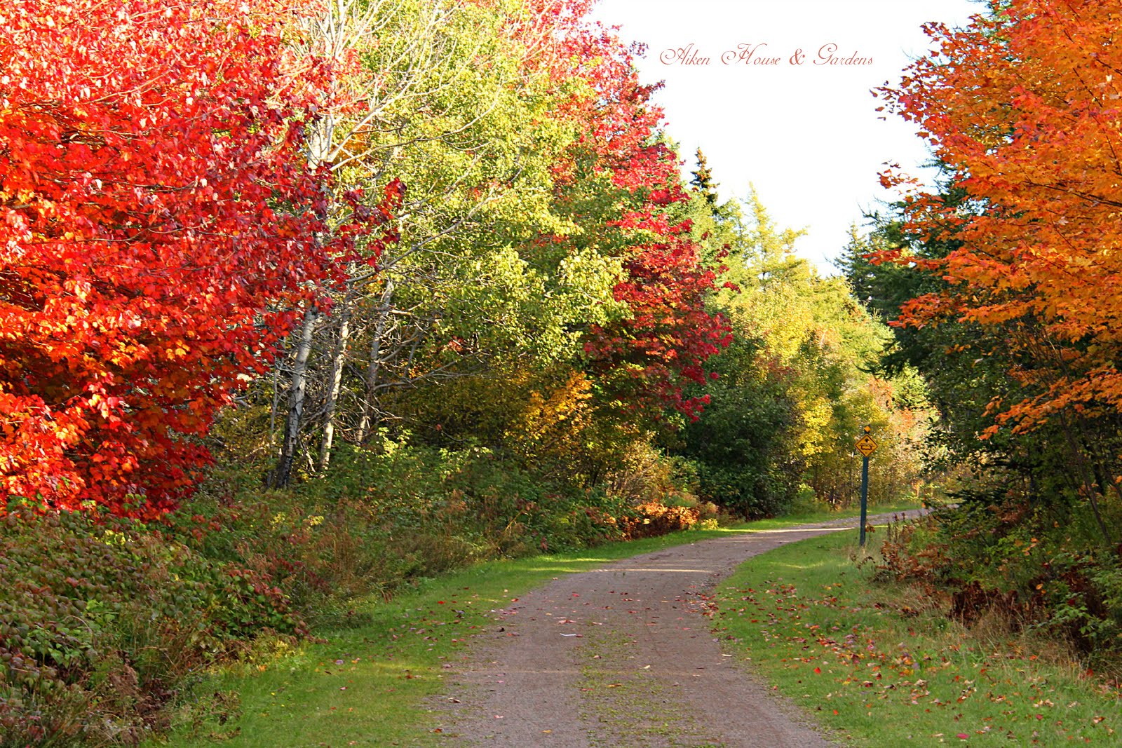 Aiken House & Gardens: Autumn Trails